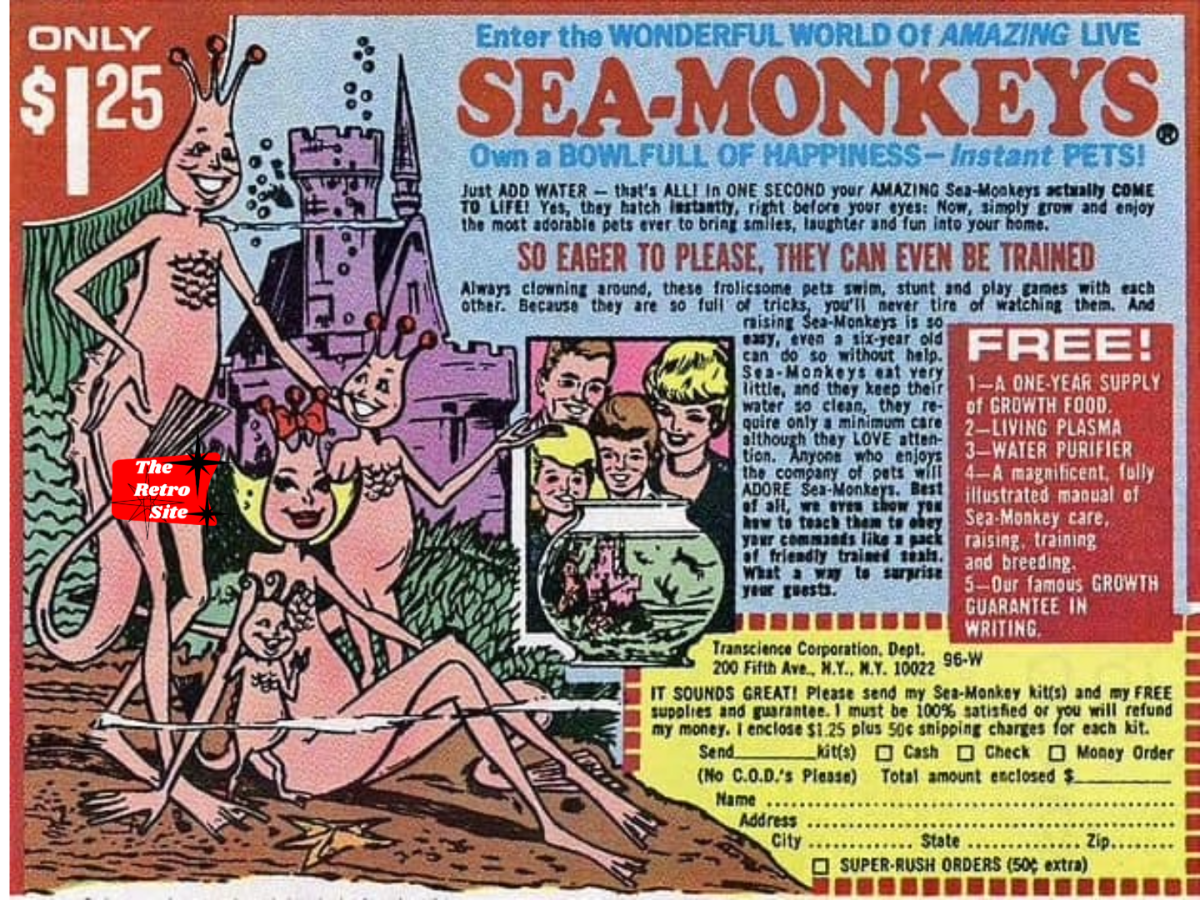 Did You Ever Order Sea-Monkeys? - Retro Reminiscing Video and Pictures ...
